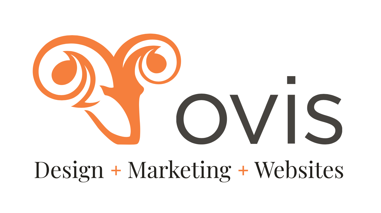 Financial Marketing Firm | Ovis Creative